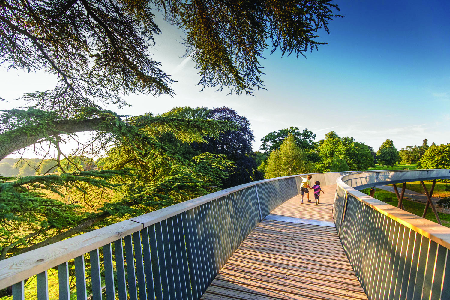 Stihl Treetop Walkway - Premier Construction