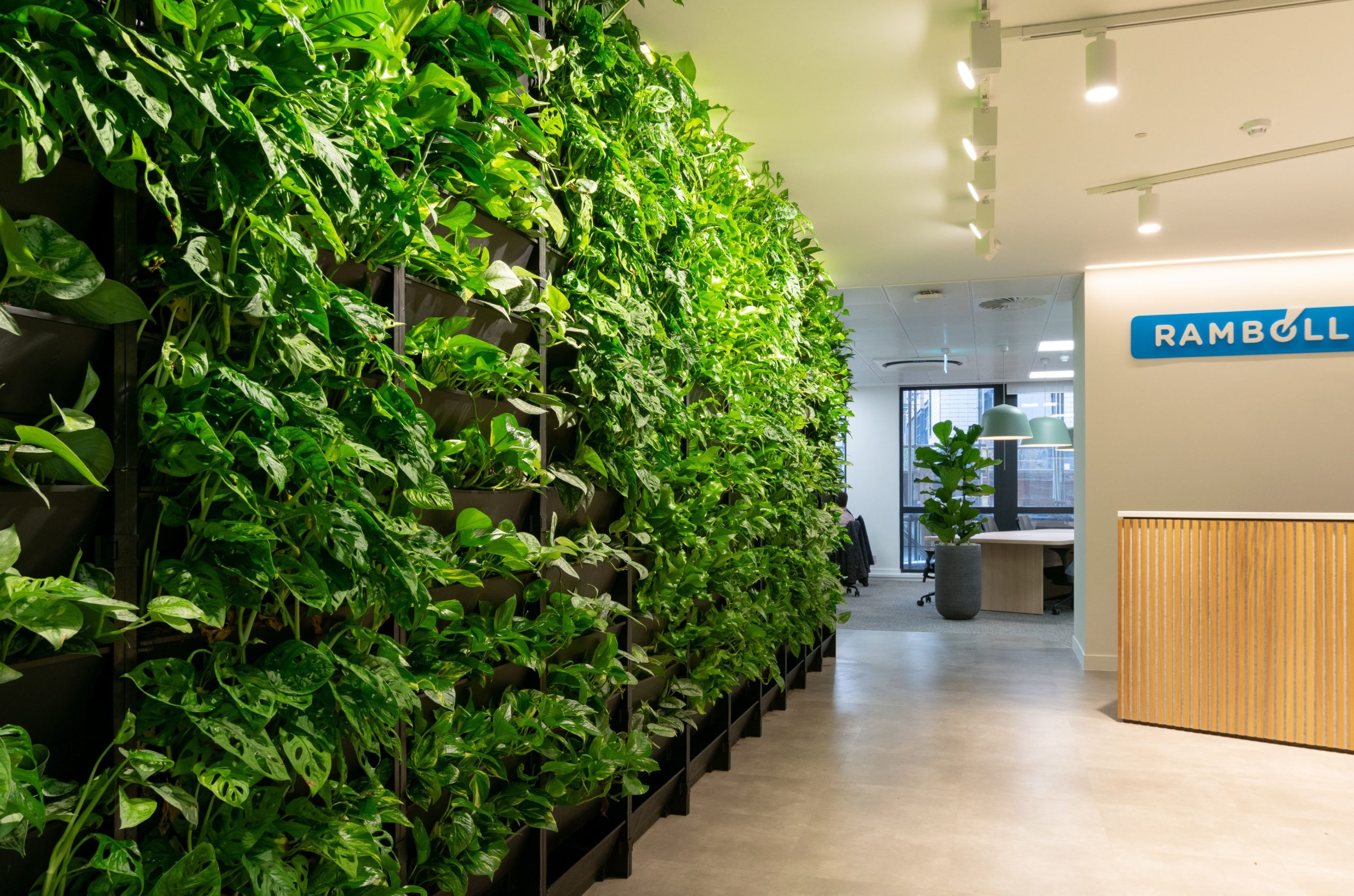 Ramboll’s new office in Southampton’s city centre sets the bar for ...